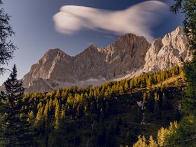 Brandhof und Brandalm: willkommen in der BrandWelt