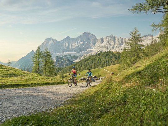 Brandhof und Brandalm: willkommen in der BrandWelt